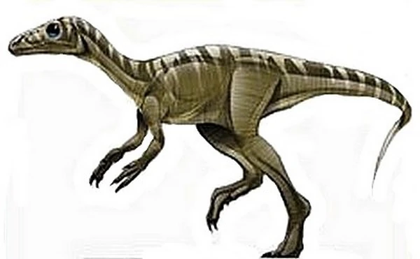 Eoraptor | Wikia Jurassic Park | Fandom
