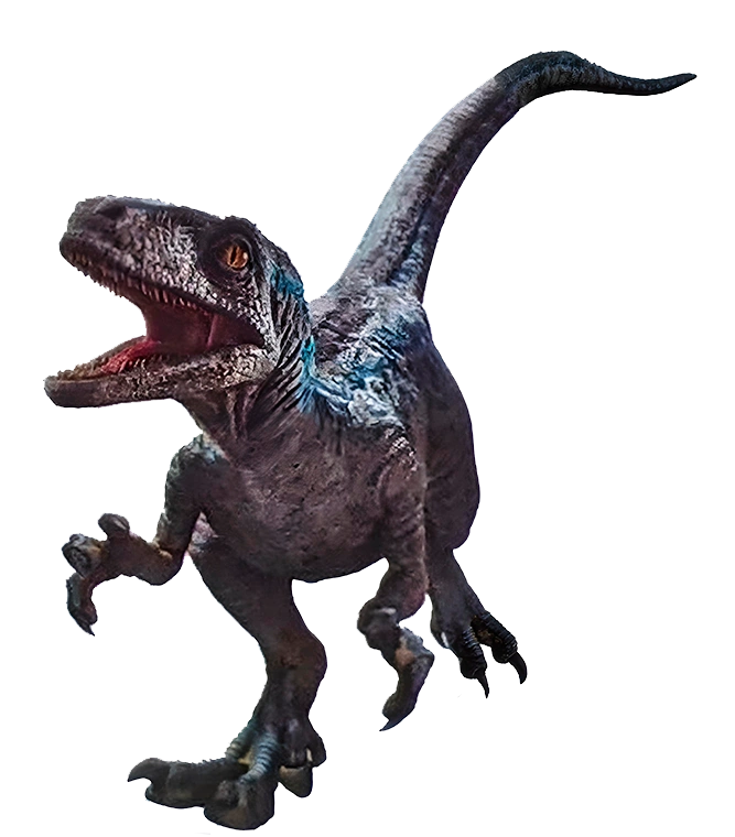 Raptor Bebé Del Parque Jurásico