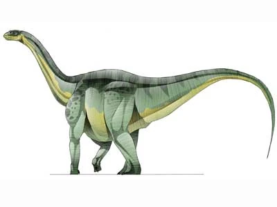 Rhoetosaurus | Jurassic Park Wiki | Fandom