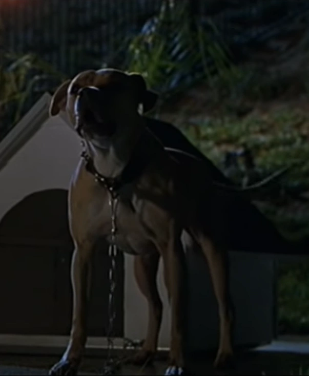 Chien | Wikia Jurassic Park | Fandom