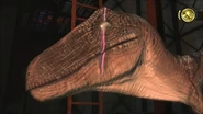 Scarred Raptor Leader | Jurassic Park Wiki | Fandom