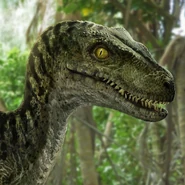 Charlie | Jurassic Park Wiki | Fandom