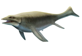 Shastasaurus | Jurassic Park Wiki | Fandom