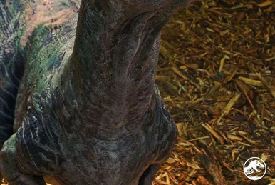 Velociraptor Blue Wiki Jurassic Park Amino Amino Jurassic World/Error