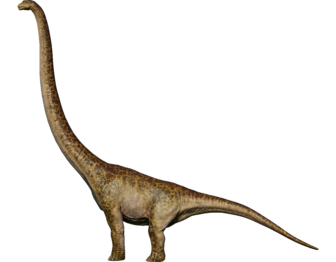 Mamenchisaurus | Jurassic Park Wiki | Fandom