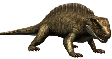 sphenacodon ferox