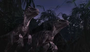 Scarred Raptor Leader | Jurassic Park Wiki | Fandom