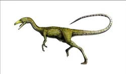 Jurassic Park Compsognathus