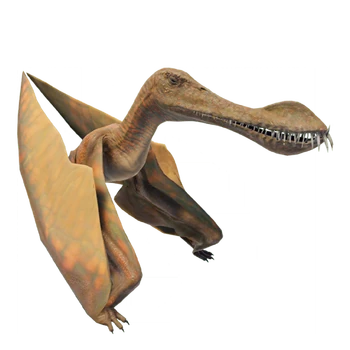 Maaradactylus | Jurassic Park Wiki | Fandom