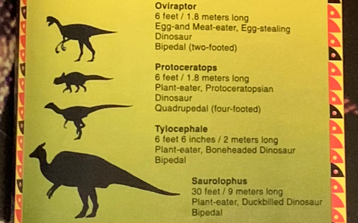Protoceratops/Books | Jurassic Park Wiki | Fandom