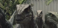 Echo | Jurassic Park Wiki | Fandom