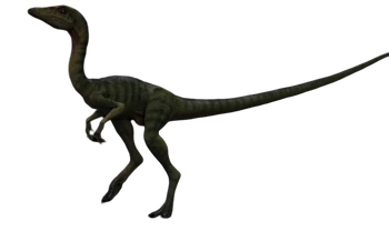 Compsognathus | Jurassic Park Wiki | Fandom
