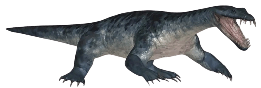 Noms De Dinosaures Aquatiques