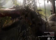 Asset 87 | Jurassic Park Wiki | Fandom