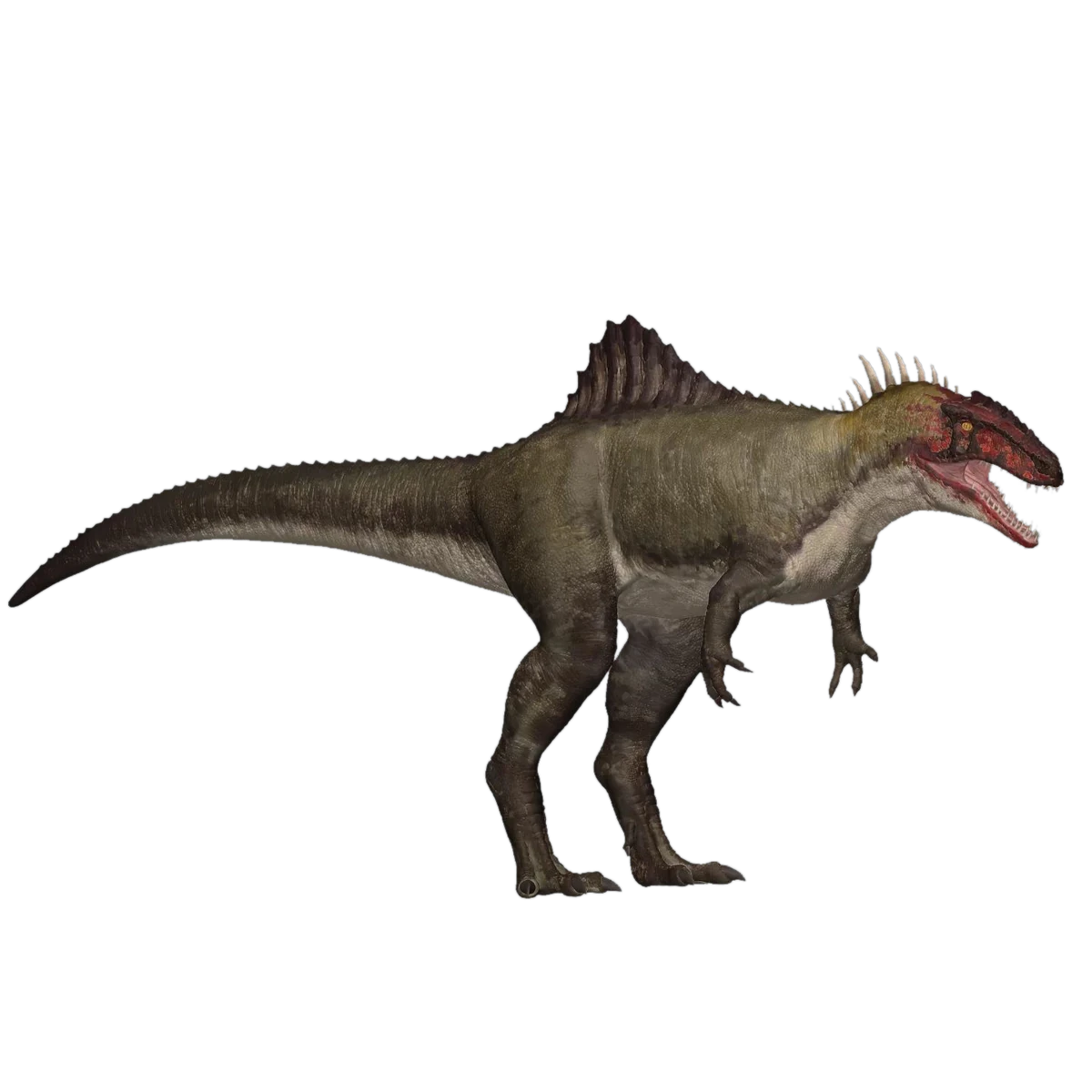 Becklespinax | Jurassic Park Wiki | Fandom