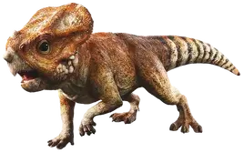 Aquilops | Jurassic Park Wiki | Fandom