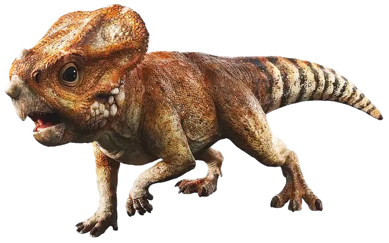 Aquilops | Wikia Jurassic Park | Fandom