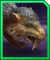 Smilocephalosaurus/JW: A | Jurassic Park Wiki | Fandom