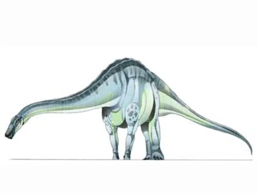 Quaesitosaurus