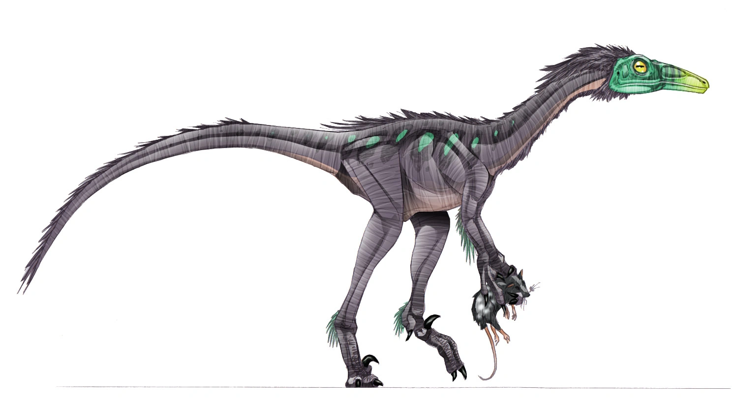 Saurornithoides | Jurassic Park Wiki | Fandom