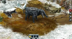 Where Did Archaeobelodon Live