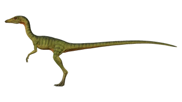 Jurassic Park Compsognathus Compsognathus | Compsognathus Facts | DK