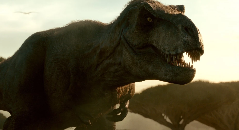 Dinosaurs Rexy