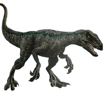 Blue | Jurassic Park Wiki | Fandom
