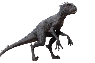 Esqueleto De Riojasaurio