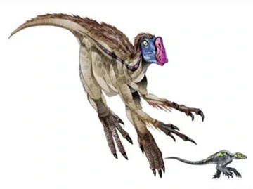 chirostenotes dinosaur