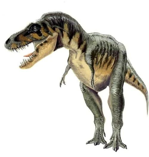 Tarbosaurus | Wikia Jurassic Park | Fandom