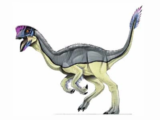 Oviraptor | Jurassic Park Wiki | Fandom