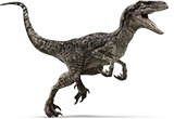 Bravo (Velociraptor Descartado) | Jurassic Park Wiki | Fandom