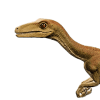 Troodon | Jurassic Park Wiki | Fandom