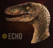 Echo | Jurassic Park Wiki | Fandom