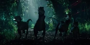 Echo | Jurassic Park Wiki | Fandom