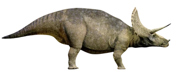 Triceratops Horridus Dinosaurs In 2019 Jurassic Park
