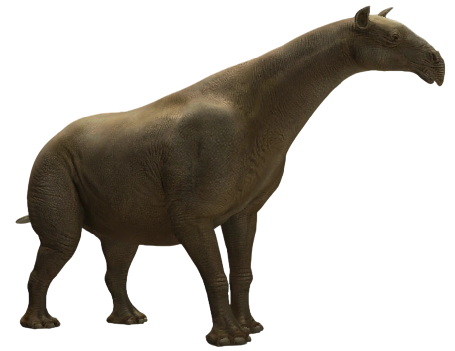 Category:Paraceratherium Pages | Jurassic Park Wiki | Fandom