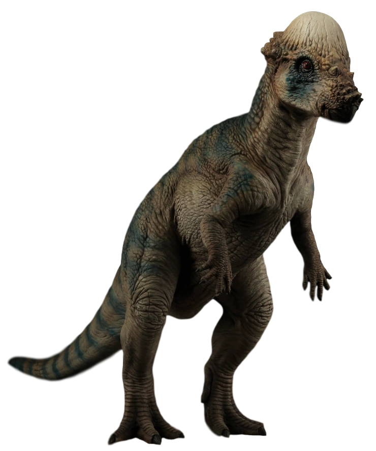 Pachycephalosaurus | Jurassic Park Wiki | Fandom