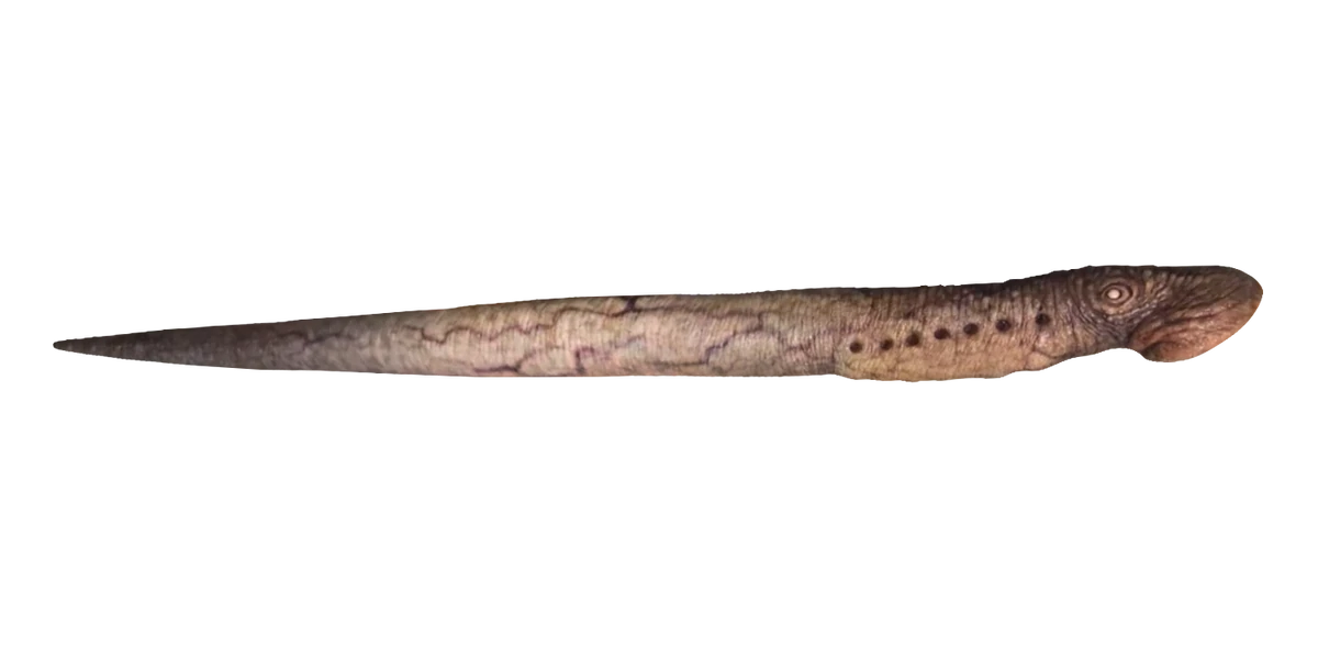 Lamprey Sykdom Wiki