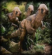 Pachycephalosaurus | Jurassic Park Wiki | Fandom