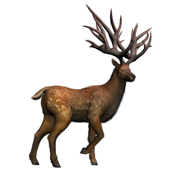 Eucladoceros/JW: A | Jurassic Park Wiki | Fandom