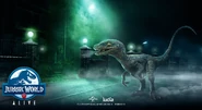 Blue/JW: A | Jurassic Park Wiki | Fandom