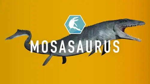 RaptorPass 10 Mosasaurus | Wikia Jurassic Park | Fandom