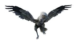 Argenteryx | Jurassic Park Wiki | Fandom