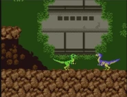 Segisaurus | Jurassic Park Wiki | Fandom