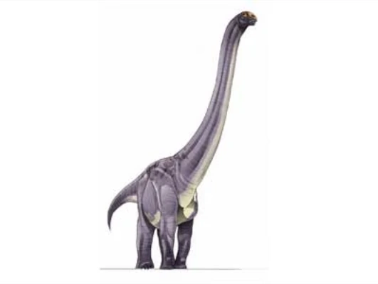 Euhelopo | Jurassic Park Wiki | Fandom