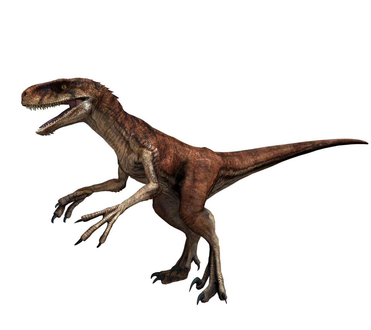 Panthera Atrociraptor Jurassic Park Wiki Fandom