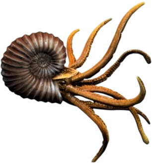 Ammonite | Wikia Jurassic Park | Fandom