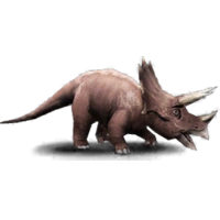Triceratops | Jurassic Park Builder Wiki | Fandom